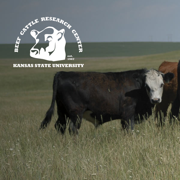 New Generation Supplements – Livestock Supplement Solutions Beef Cattle ...