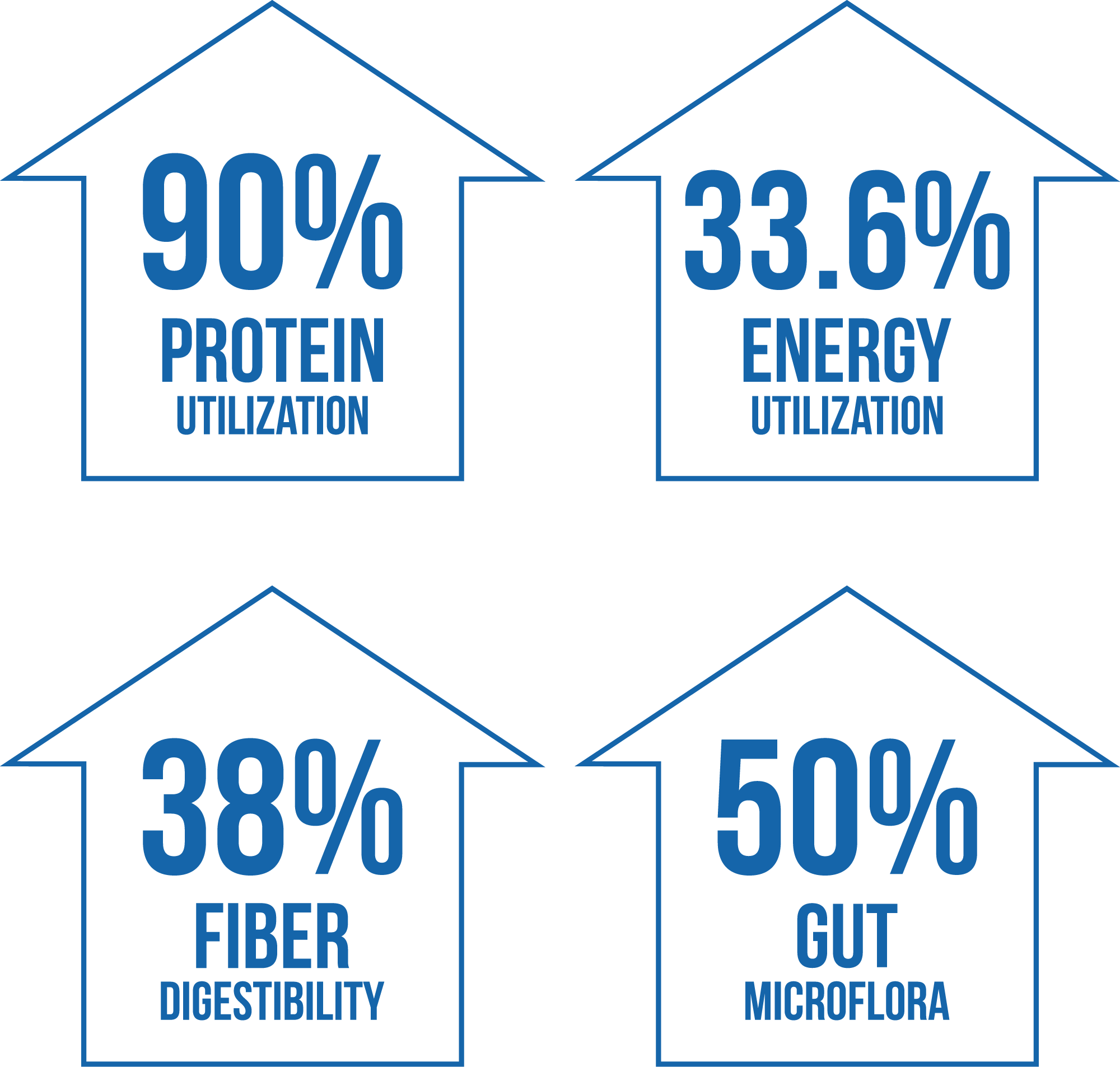 Protein Performance: Research That Pays You Back - New Generation ...