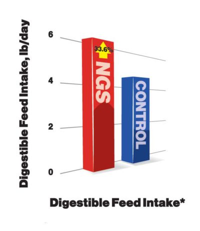 Forage Utilization - New Generation Supplements