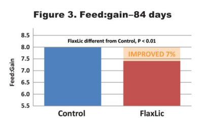 Omega 3 - New Generation Supplements