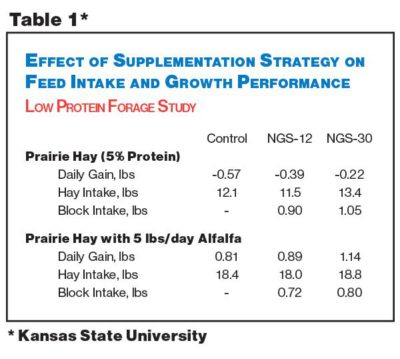 Protein Performance – New Generation Supplements