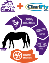 HorsLic - Mineral Tub for Horses - New Generation Supplements