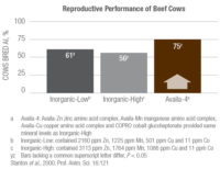 Availa 4 – New Generation Supplements