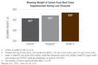 Availa 4 - New Generation Supplements