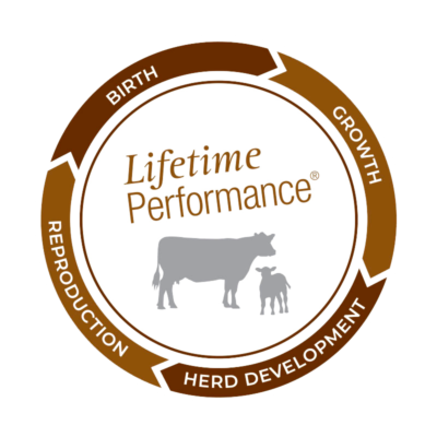 Availa 4 - New Generation Supplements
