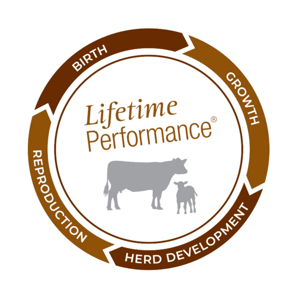 Availa 4 - New Generation Supplements