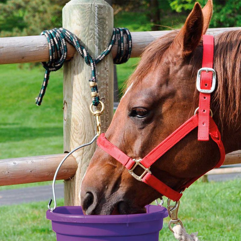 Research - New Generation Supplements