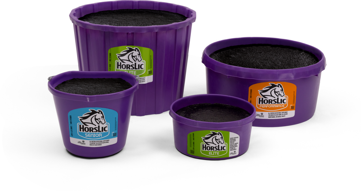 HorsLic - Mineral Tub for Horses - New Generation Supplements