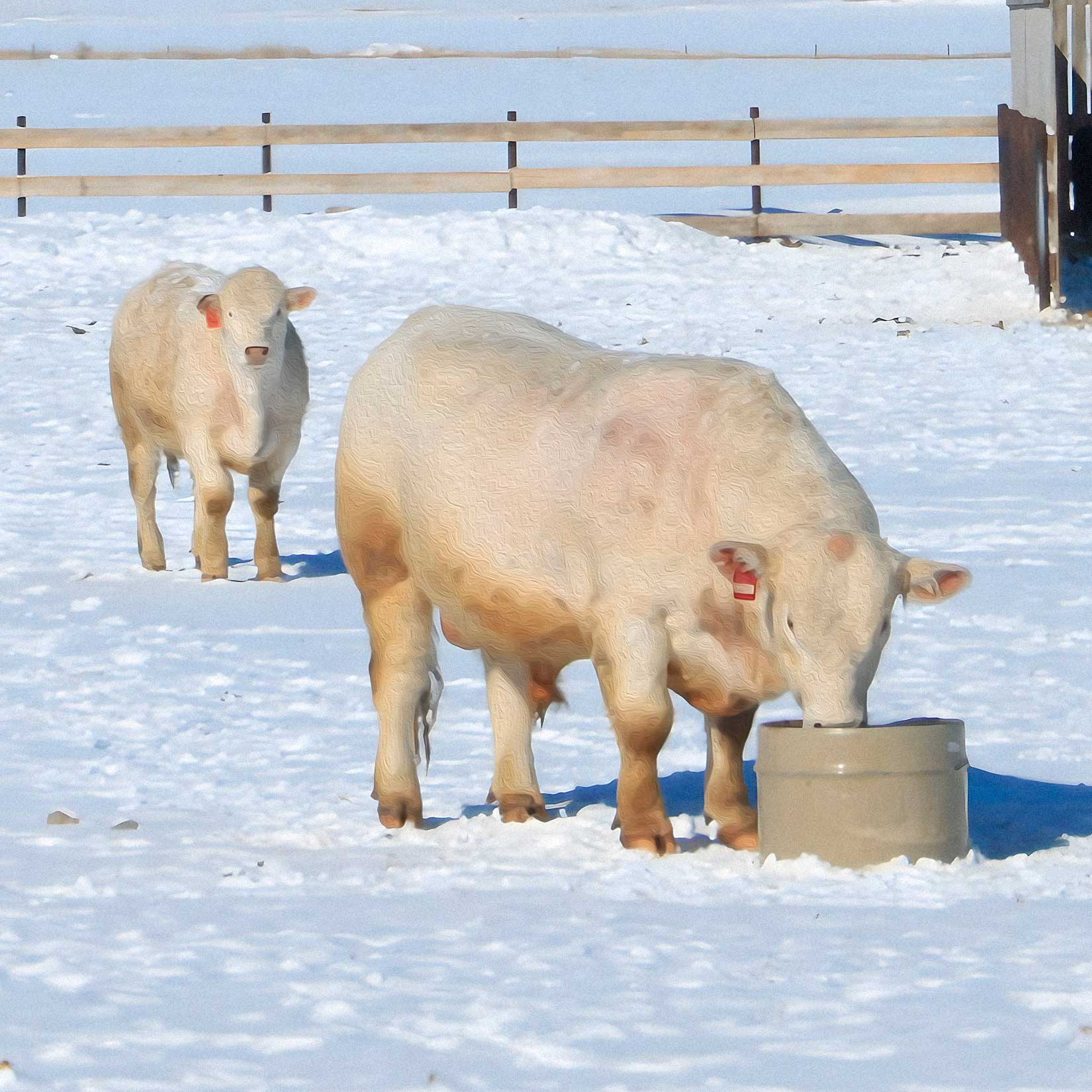 It’s Not Just Another Tub – New Generation Supplements