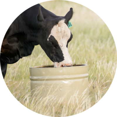 It’s Not Just Another Tub – New Generation Supplements