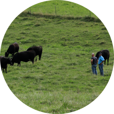 It’s Not Just Another Tub – New Generation Supplements