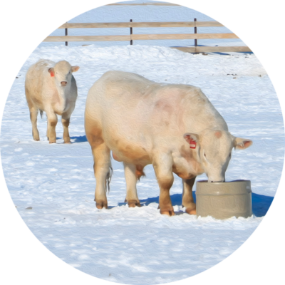 It’s Not Just Another Tub – New Generation Supplements