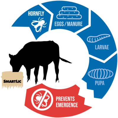 It’s Not Just Another Tub – New Generation Supplements