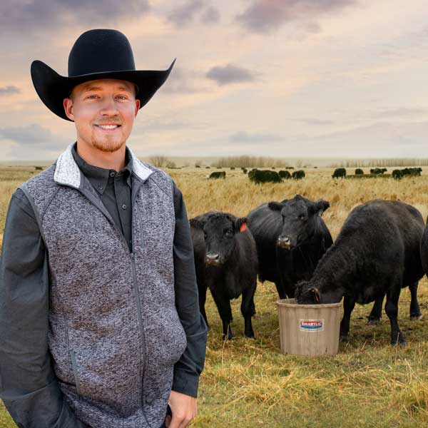 ‘Lick’ your cows’ nutrient deficiencies in mid-gestation - New ...